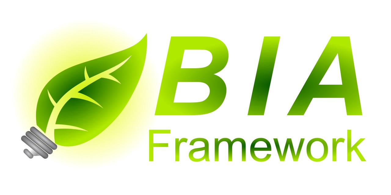 BIA Framework | BIA Framework